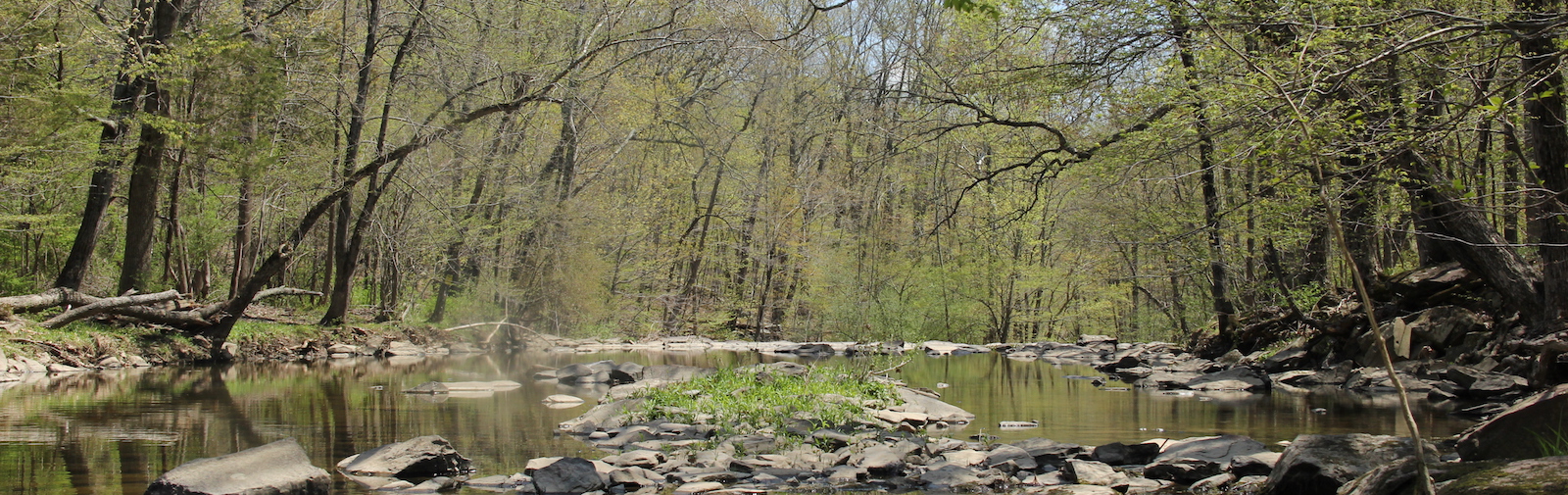 Discover Nature Near You | Preserves in New Jersey