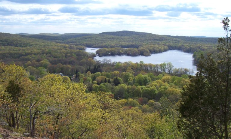 44-acre forest preserved in Byram Township - New Jersey Conservation ...