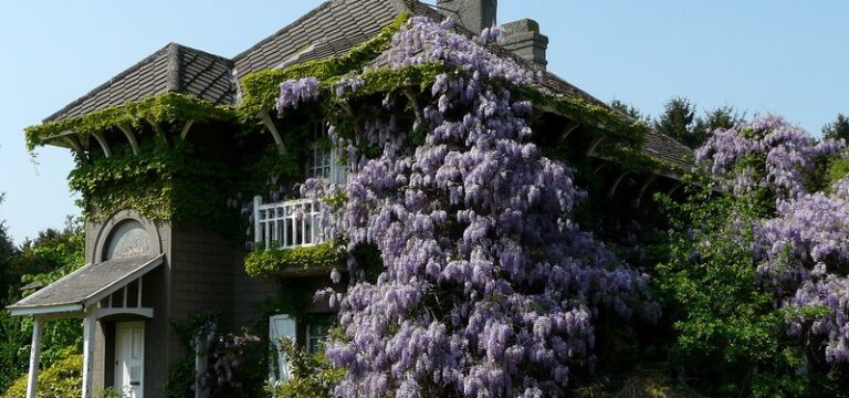 New Jersey needs law to control invasive species - New Jersey ...