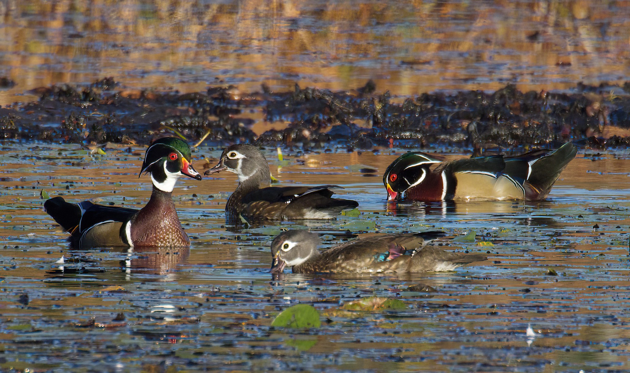 New Jersey Conservation Foundation Events | Hiking & More